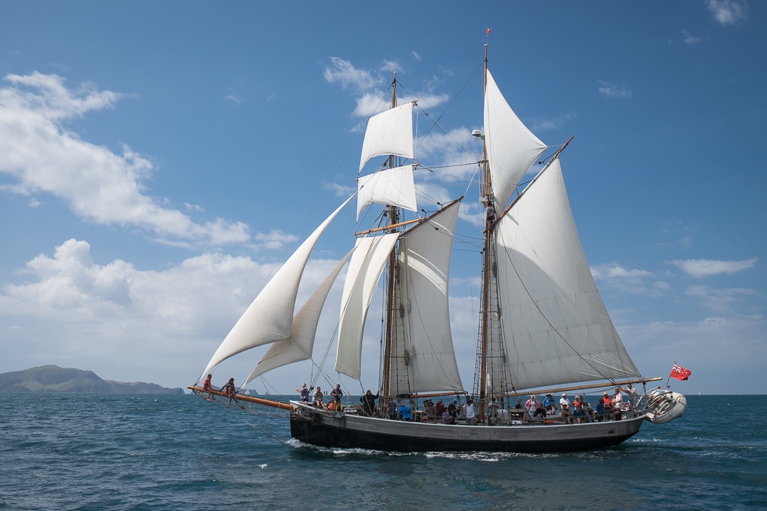 Tall Ships | Tall Ships Australia & New Zealand